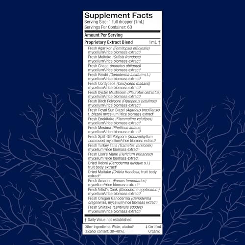 Lion's Mane mushroom supplement benefits