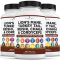 Lion's Mane mushroom supplement benefits