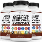 Lion's Mane mushroom supplement benefits