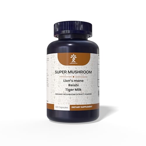 Lion's Mane mushroom supplement benefits