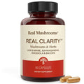 lion's mane mushroom supplement benefits