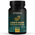 Lion's Mane mushroom supplement benefits