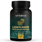 Lion's Mane mushroom supplement benefits