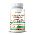 Lion's Mane mushroom supplement benefits