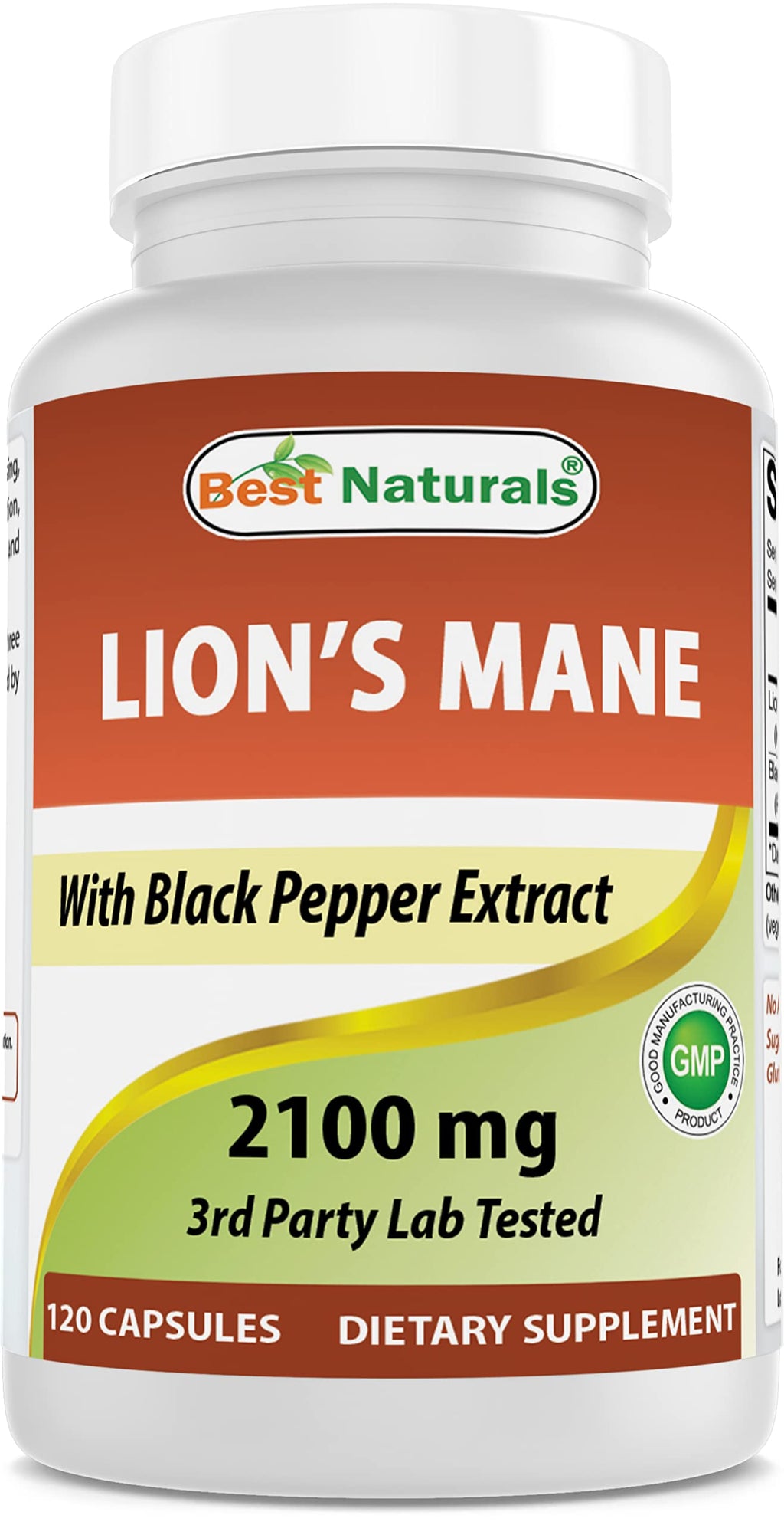 Lion's Mane mushroom supplement benefits