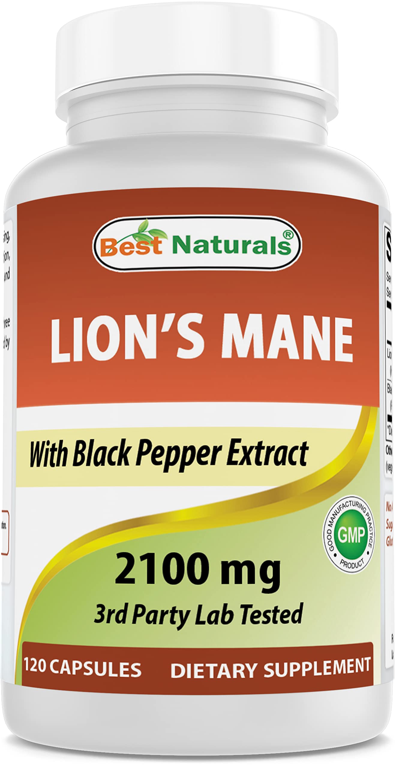 Lion's Mane mushroom supplement benefits