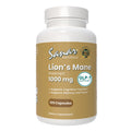 lion's mane mushroom supplement benefits