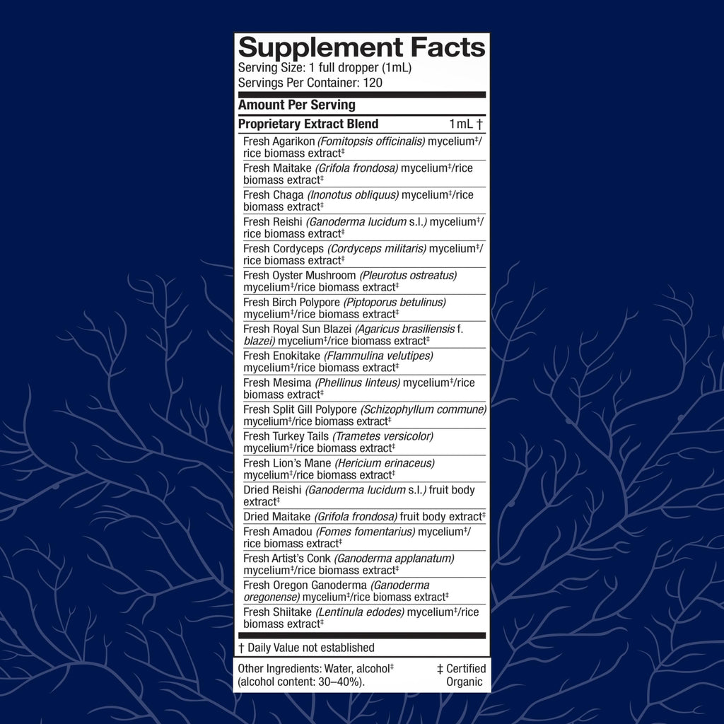 Lion's Mane mushroom supplement benefits