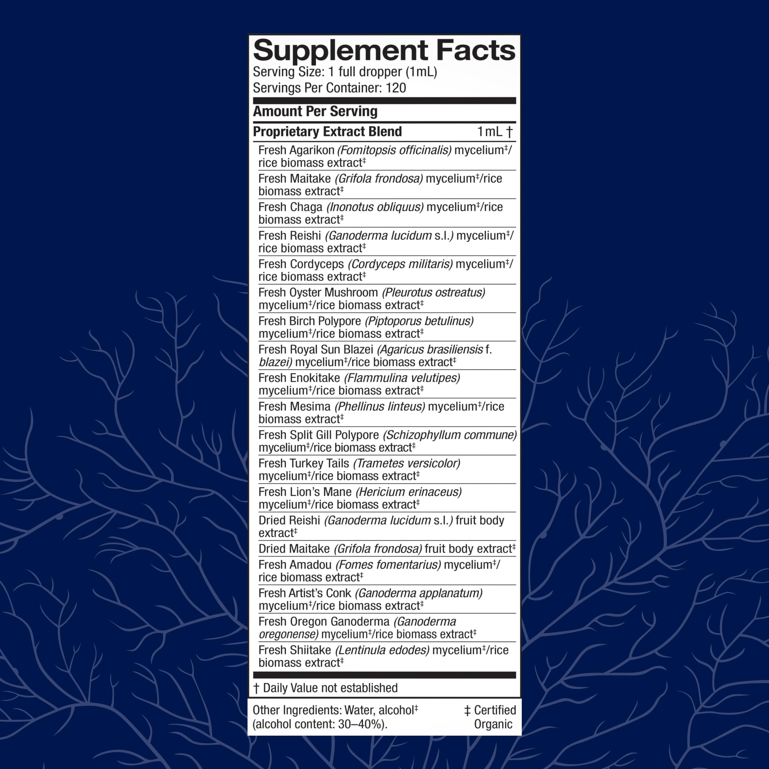 Lion's Mane mushroom supplement benefits