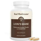 lion's mane mushroom supplement capsules