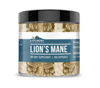 lion's mane mushroom supplement capsules
