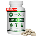 lion's mane mushroom supplement capsules