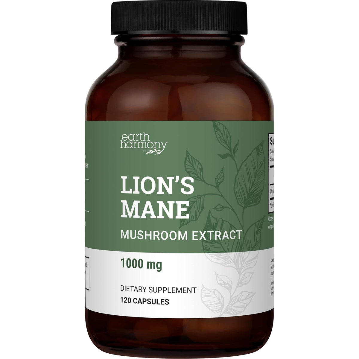 lion's mane mushroom supplement capsules