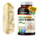 Lion's Mane mushroom supplement for focus