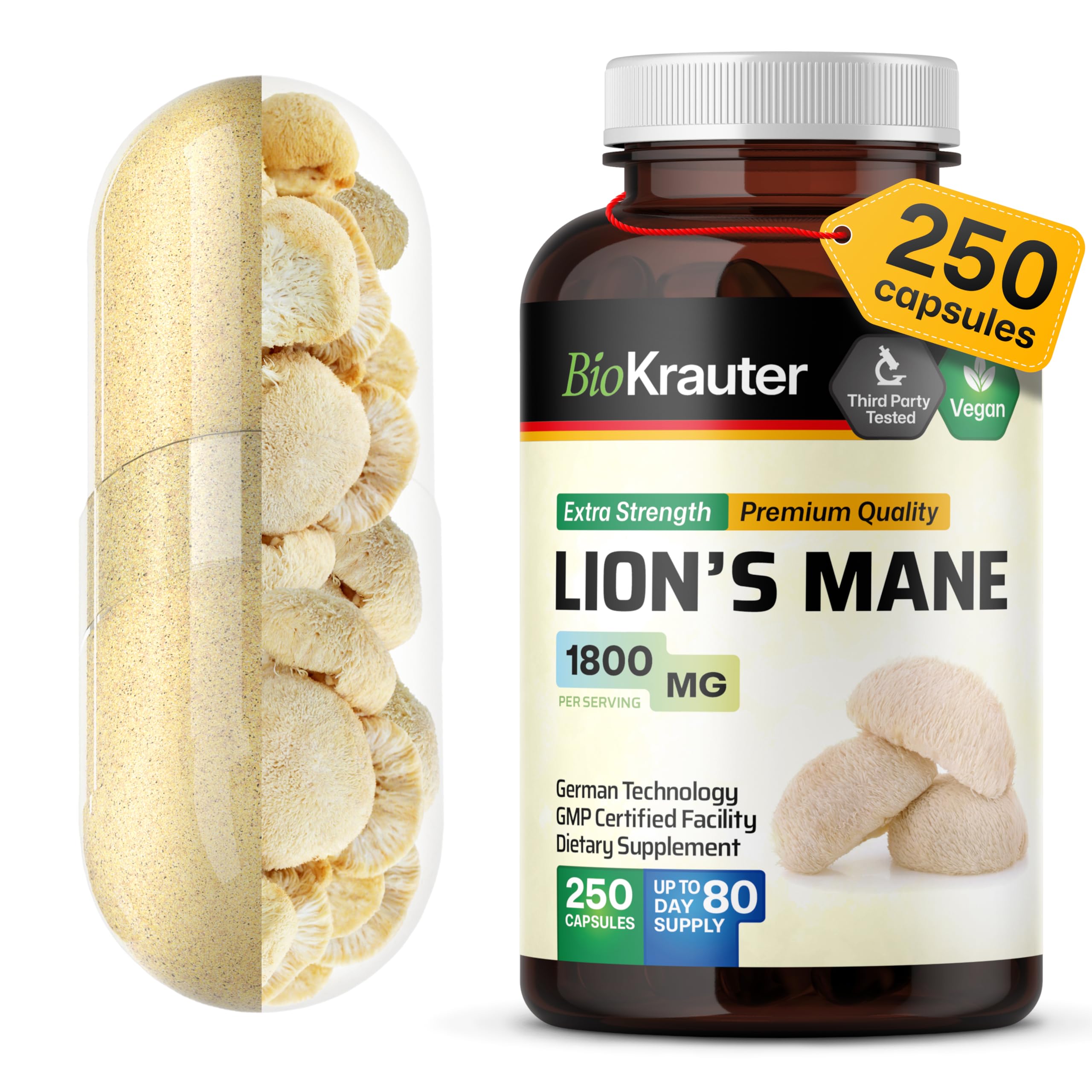 Lion's Mane mushroom supplement for focus