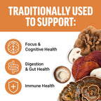 Lion's Mane mushroom supplement for focus
