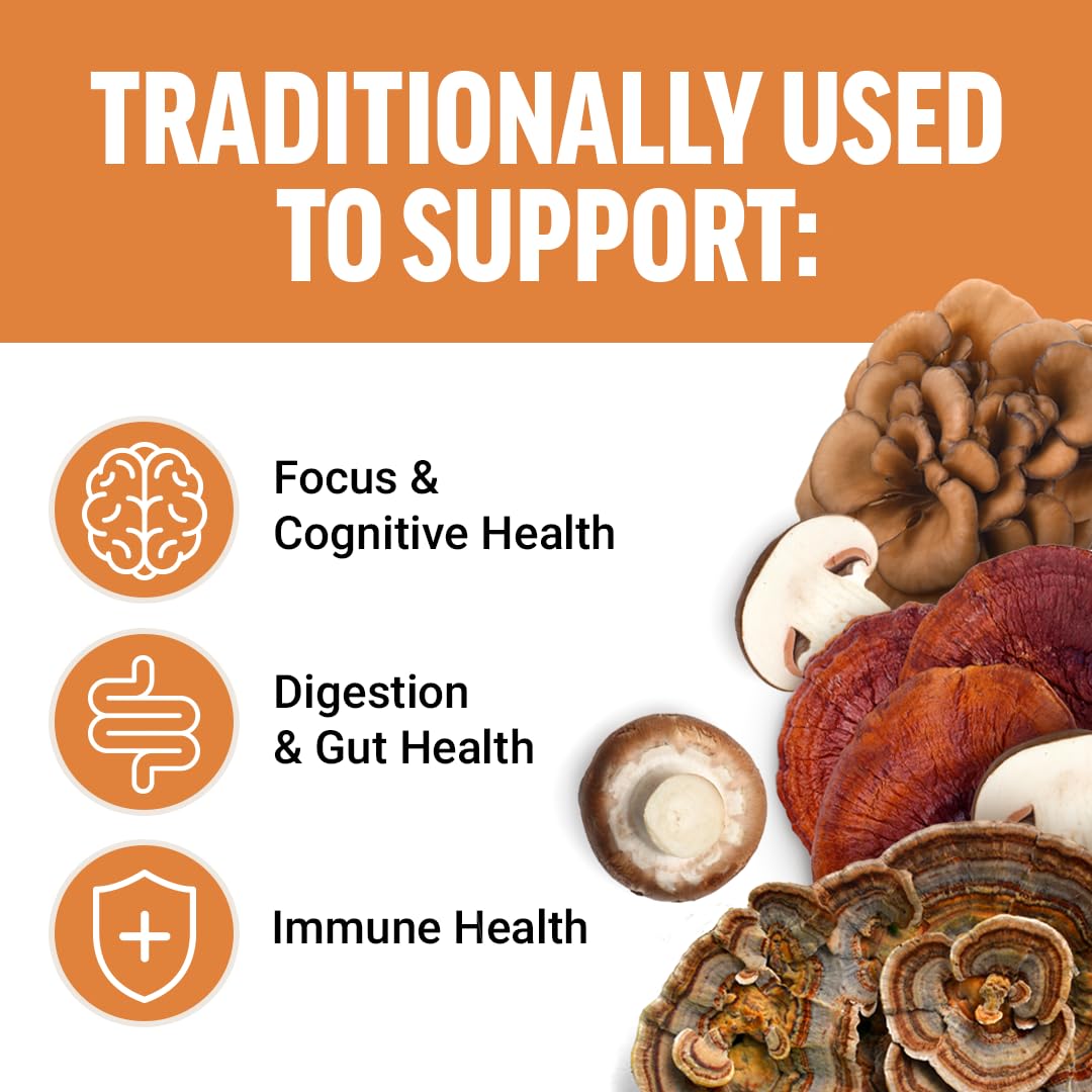 Lion's Mane mushroom supplement for focus