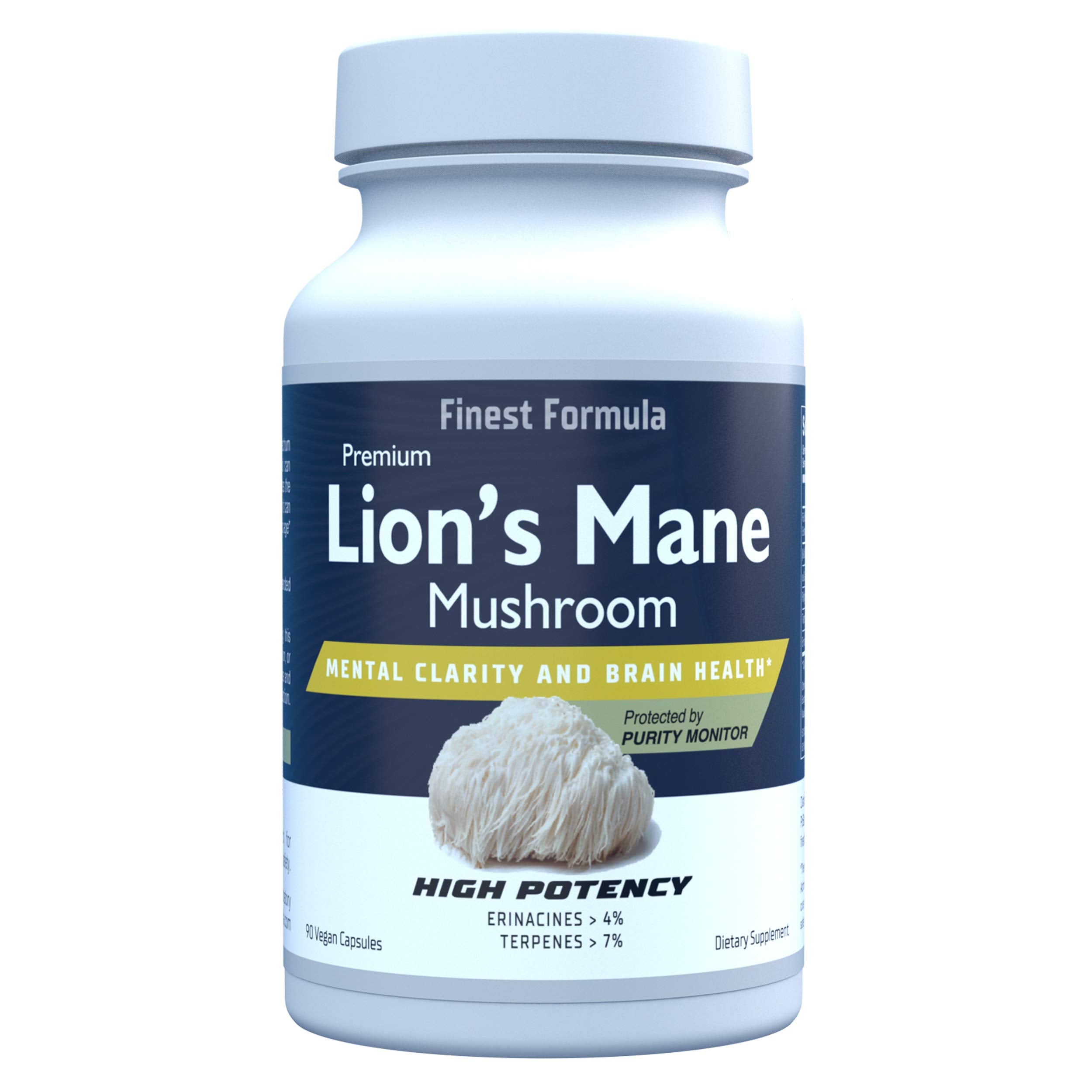 Lion's Mane mushroom supplement for focus