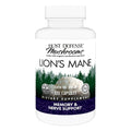 lion's mane mushroom supplement