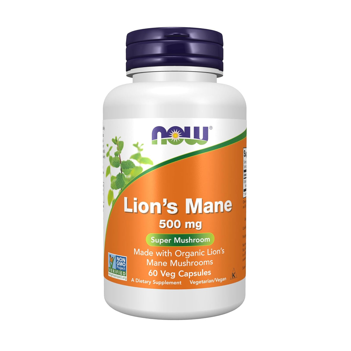 lion's mane mushroom supplement