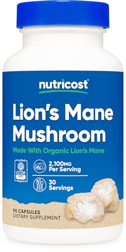 lion's mane mushroom supplement