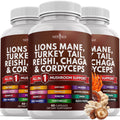 lion's mane mushroom supplement