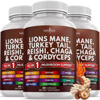 lion's mane mushroom supplement
