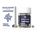 lion's mane mushroom supplement