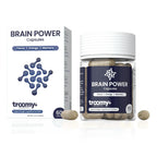 lion's mane mushroom supplement