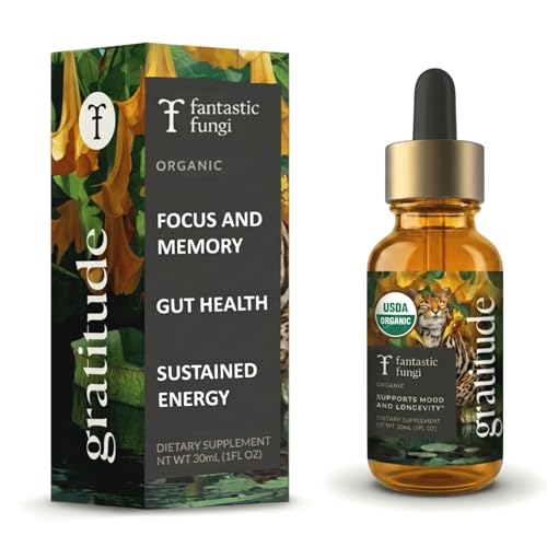 Lion's Mane mushroom tincture benefits