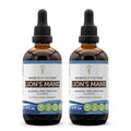 Lion's Mane mushroom tincture benefits