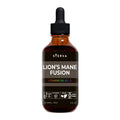 Lion's Mane mushroom tincture for focus