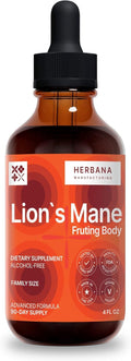 Lion's Mane mushroom tincture for focus