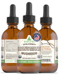 Lion's Mane mushroom tincture for immunity