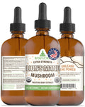 Lion's Mane mushroom tincture for immunity