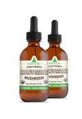 Lion's Mane mushroom tincture for immunity