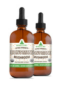 Lion's Mane mushroom tincture for immunity