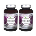 Lion's Mane mushroom wellness supplement