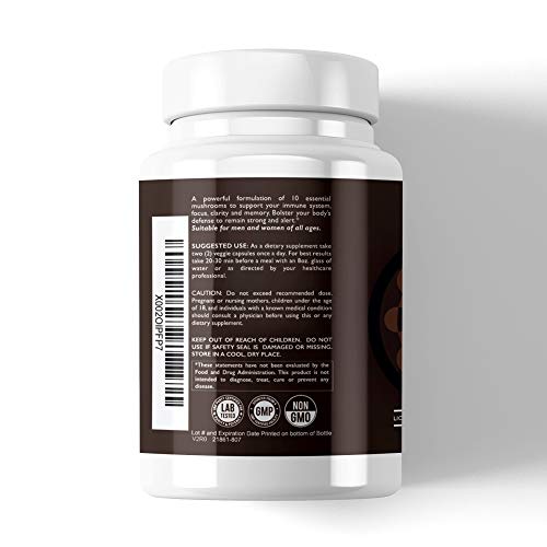 Lion's Mane mushrooms for brain function