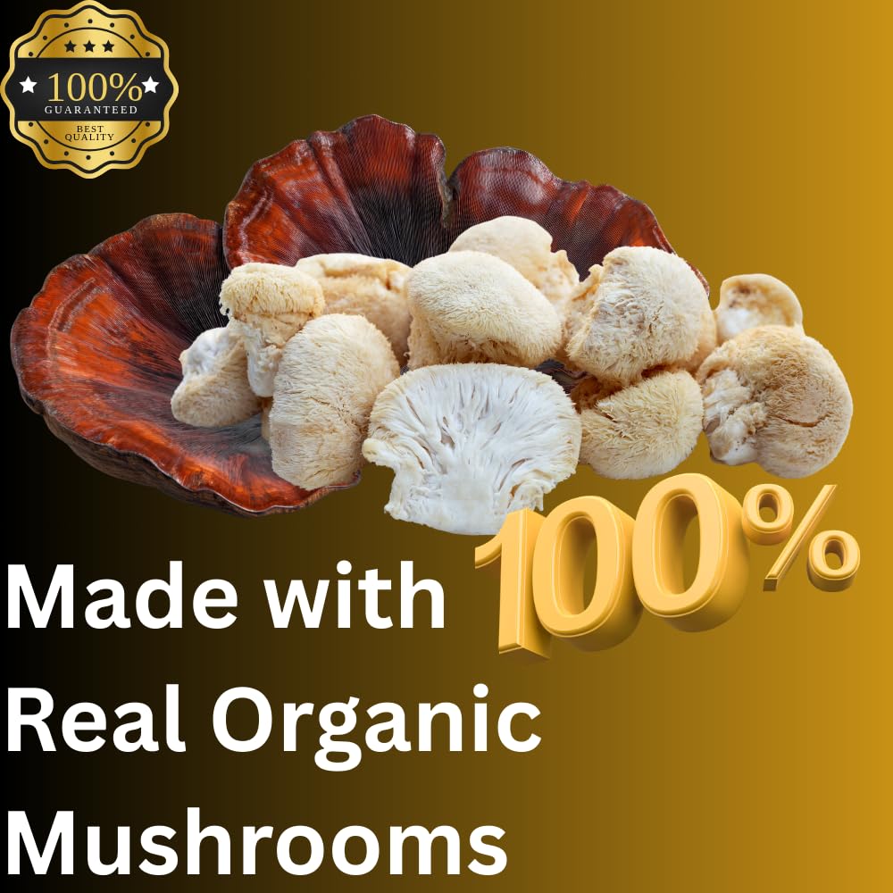 lion's mane mushrooms for brain function