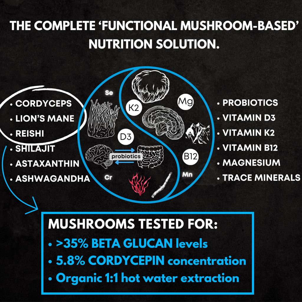 Lion's Mane mushrooms for brain health