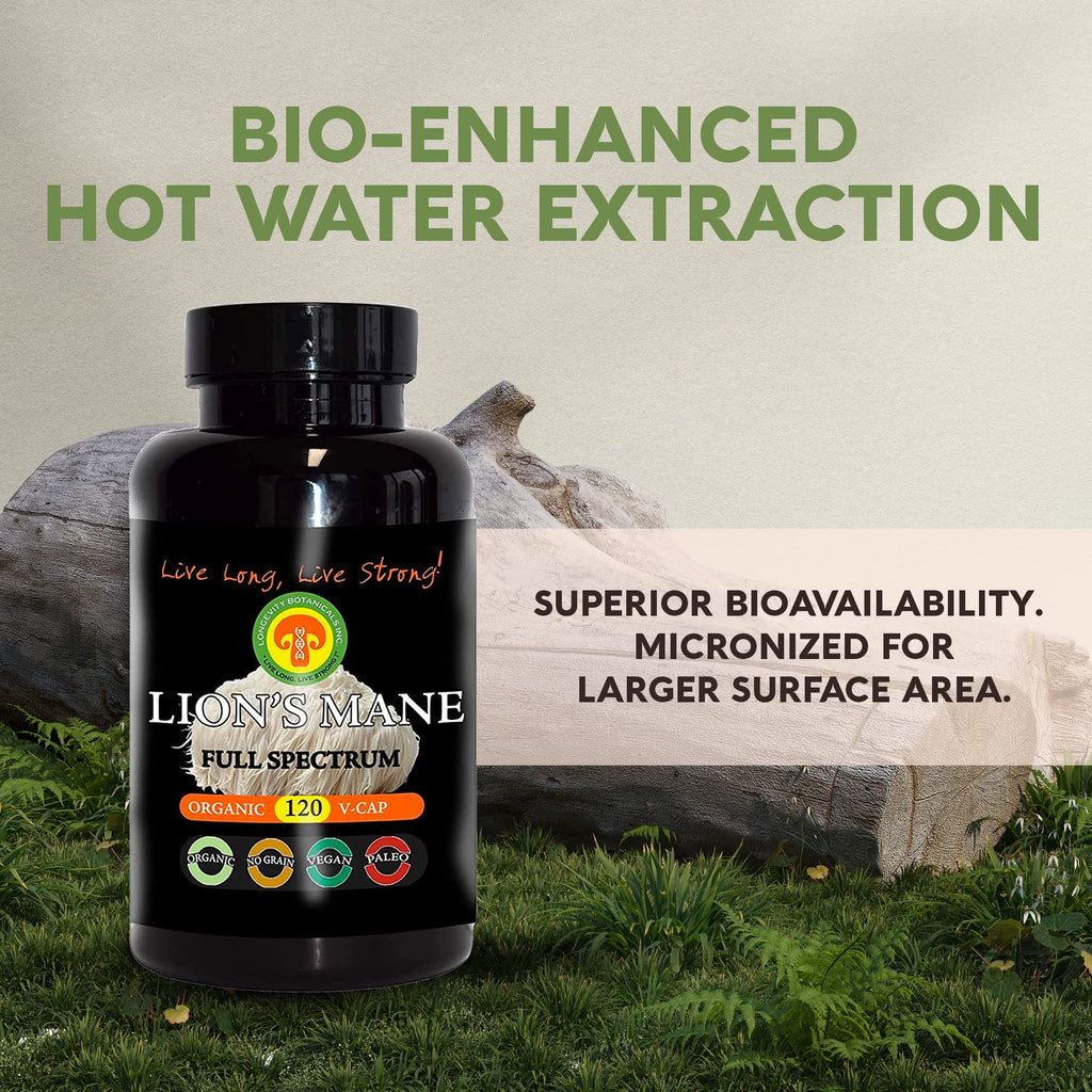 lion's mane mushrooms for cognitive function