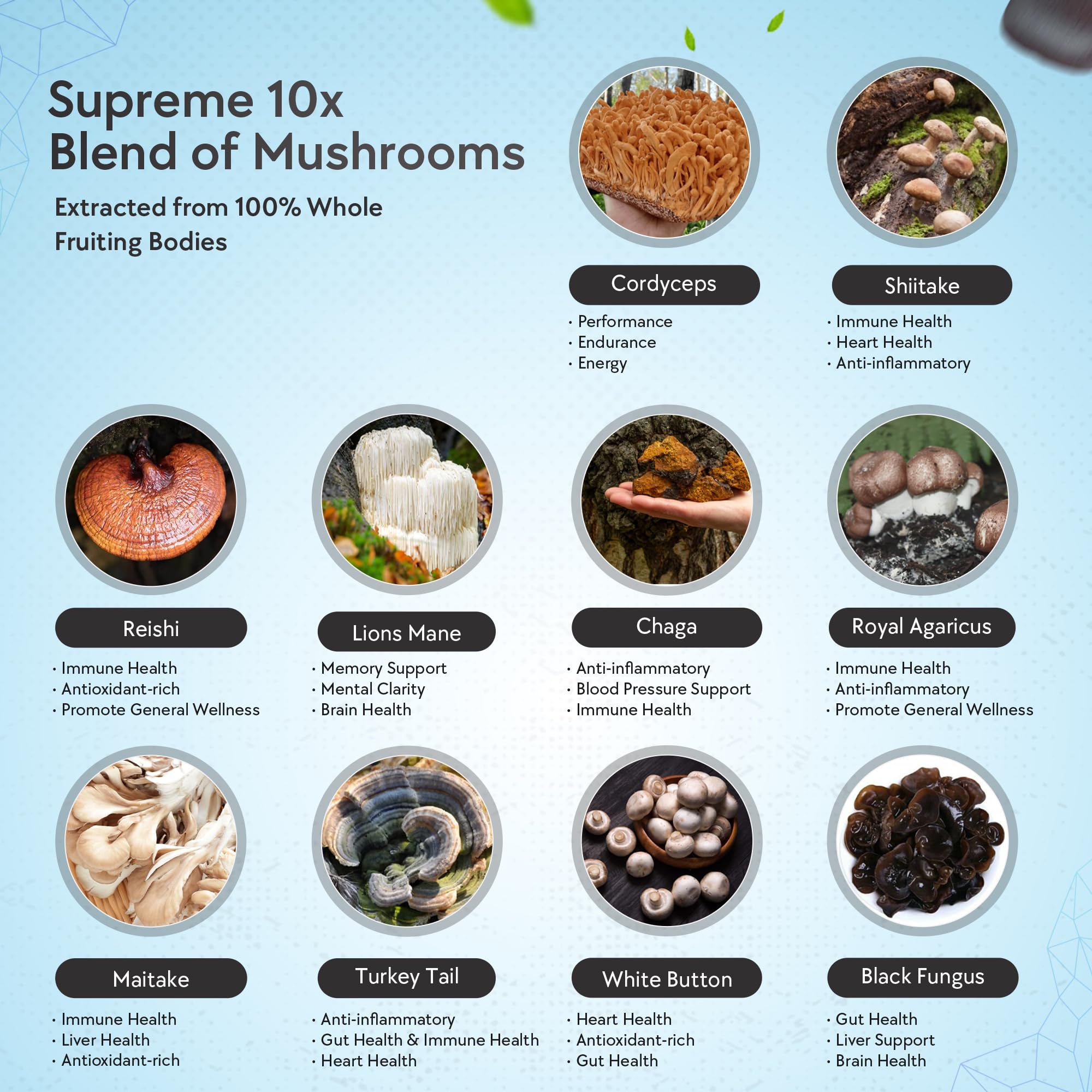 Lion's Mane mushrooms for cognitive health