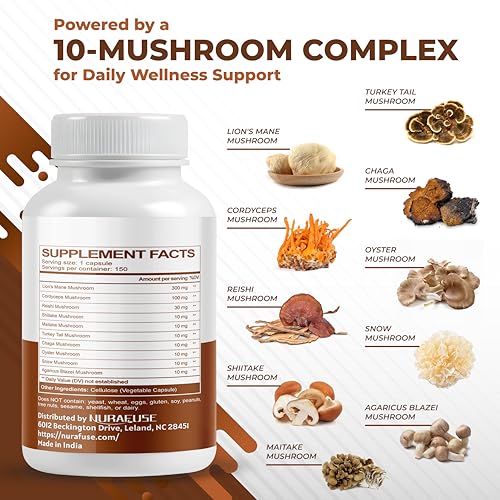 Lion's Mane mushrooms for cognitive health