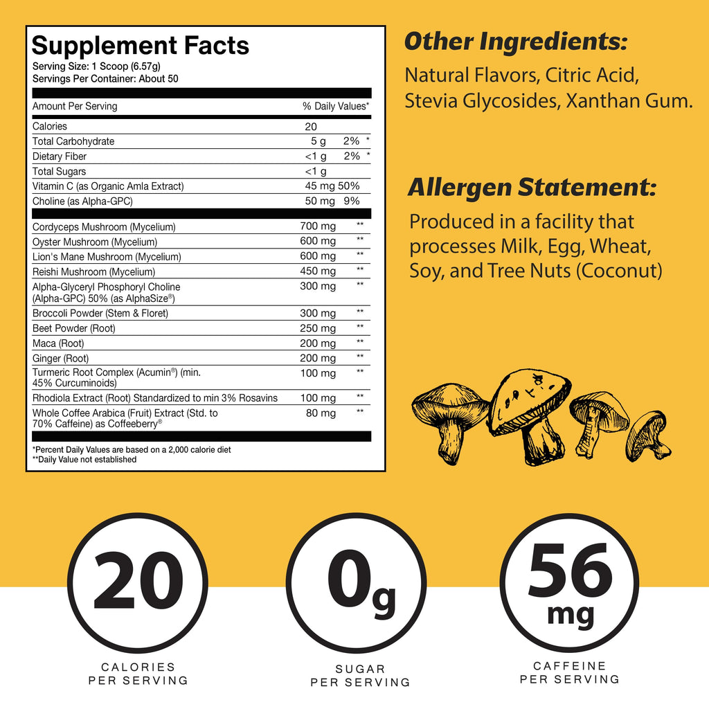 Lion's Mane mushrooms for cognitive support