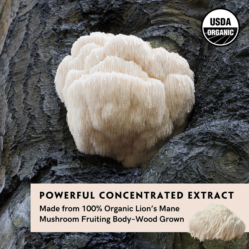 Lion's Mane mushrooms for mental clarity