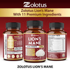 lion's mane mushrooms for mental clarity