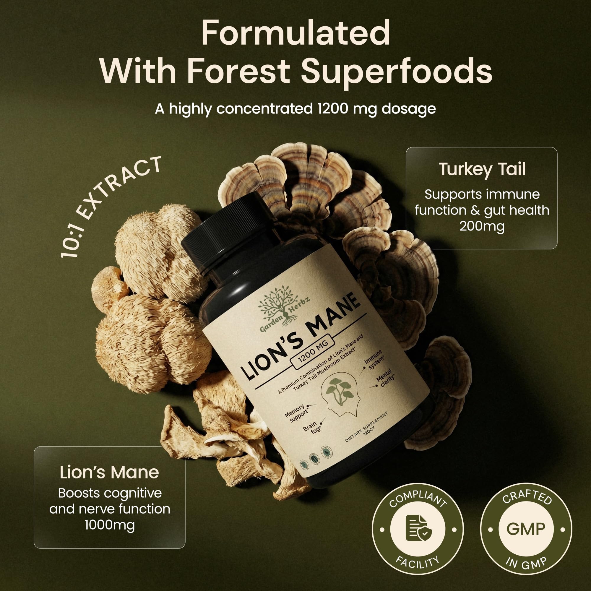 Lion's Mane mushrooms for mental wellness