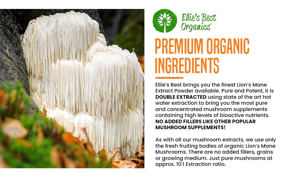 lion's mane mushrooms for vitality