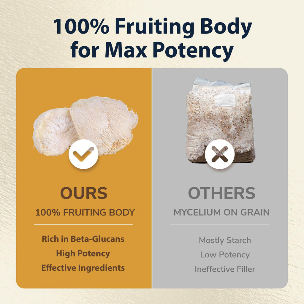 lion's mane mushrooms for wellness